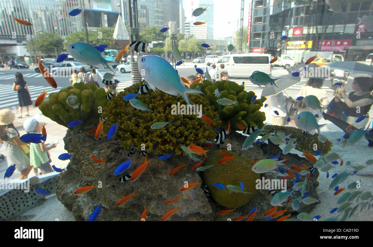 Jul 22, 2010 - Tokyo, Japan - Visitors enjoy watching the fish from the ...