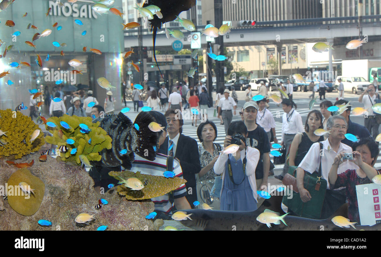 Jul 22, 2010 - Tokyo, Japan - Visitors enjoy watching the fish from the ...