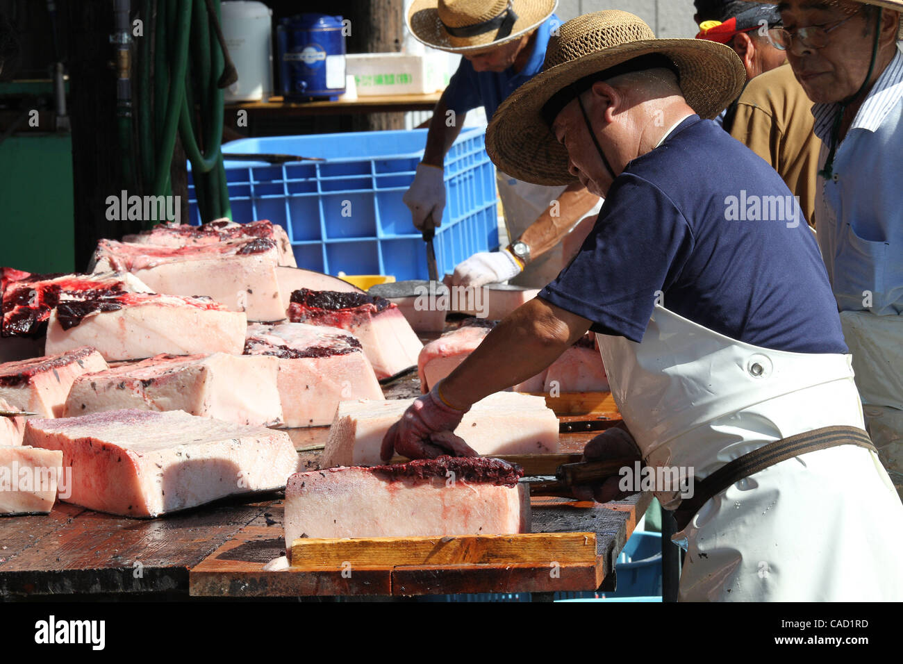 Whale meat japan hi-res stock photography and images - Alamy