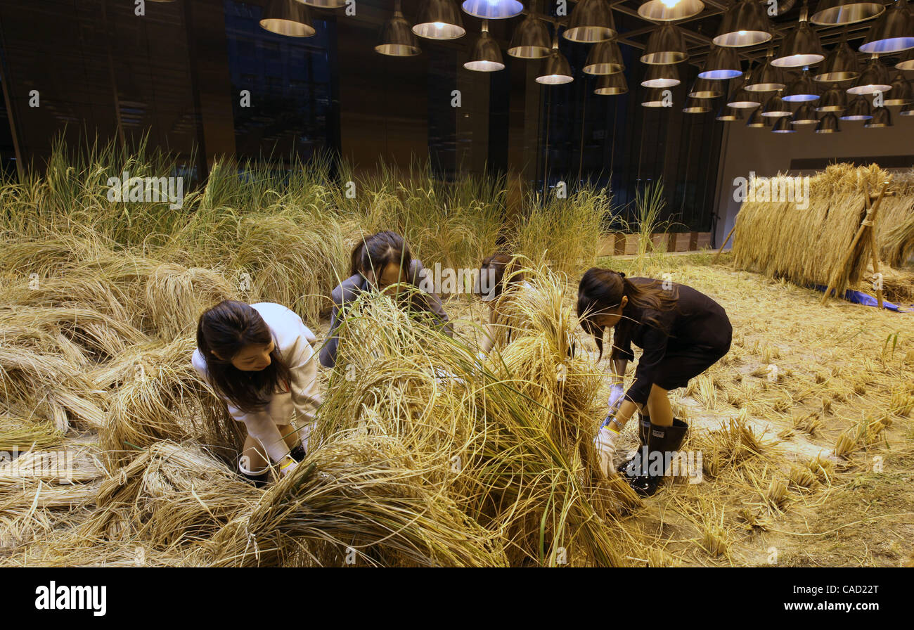 Sep 9, 2010 - Tokyo, Japan - Employees of Pasona Group Inc., personnel ...