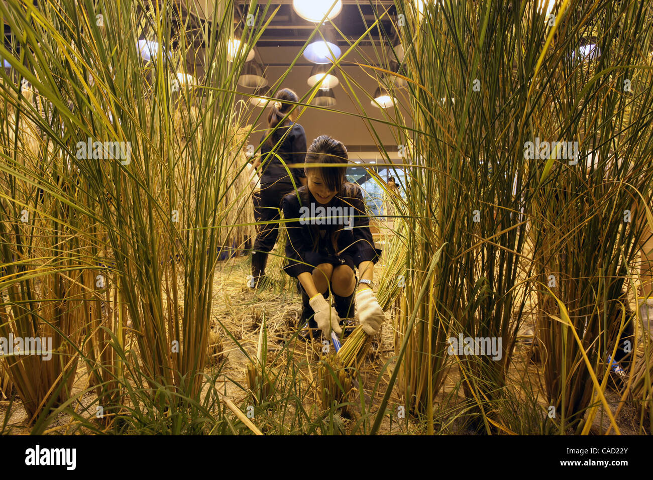 Sep 9, 2010 - Tokyo, Japan - Employees of Pasona Group Inc., personnel ...