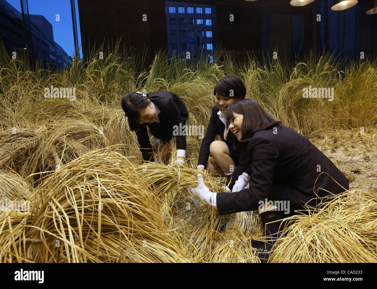 Pasona group, tokyo, japan hi-res stock photography and images - Alamy