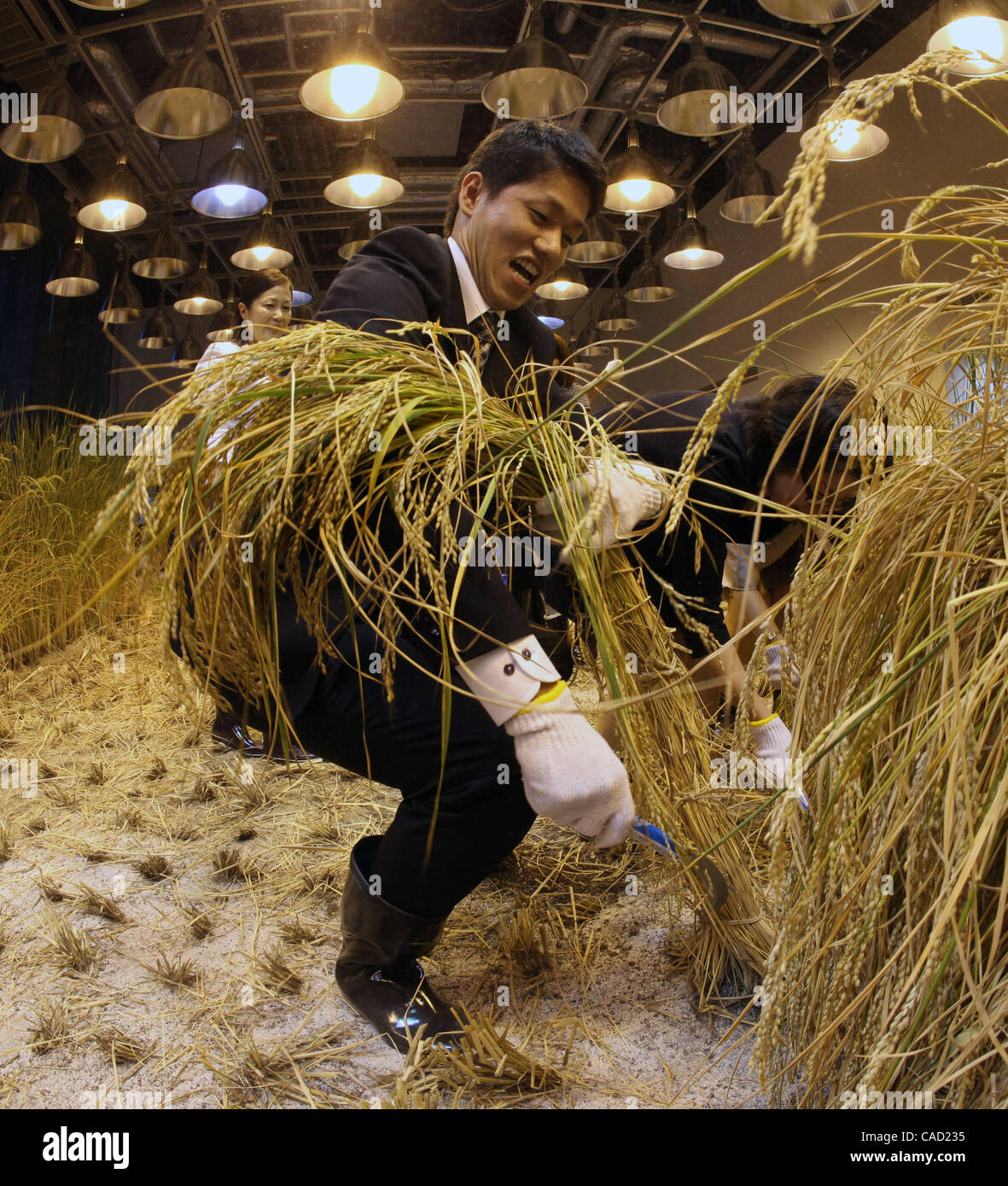 Pasona group, tokyo, japan hi-res stock photography and images - Alamy