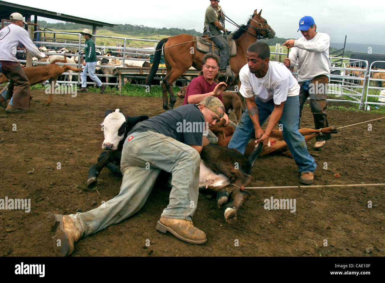 Jul 31, 2010 - Big Island, Hawaii, U.S. - ERIC WATANABE, JOSEPH ...