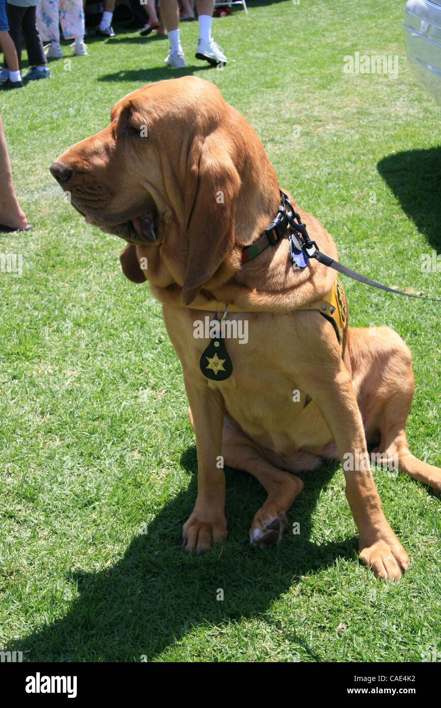 Orange county police officer hi-res stock photography and images - Alamy