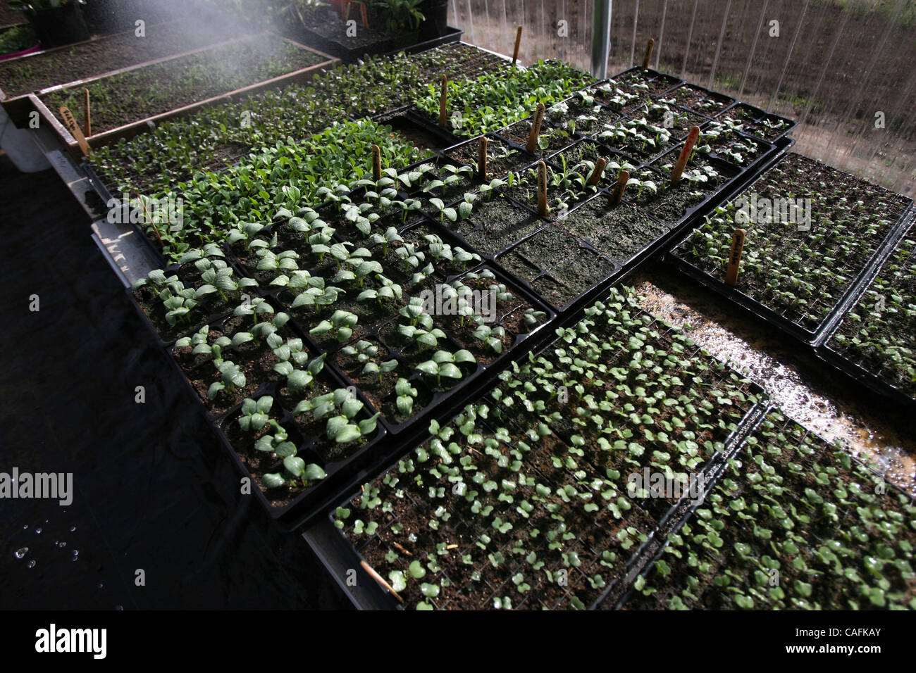 Feb 27, 2008 - Los Altos Hills, California, USA - The Hidden Villa ...