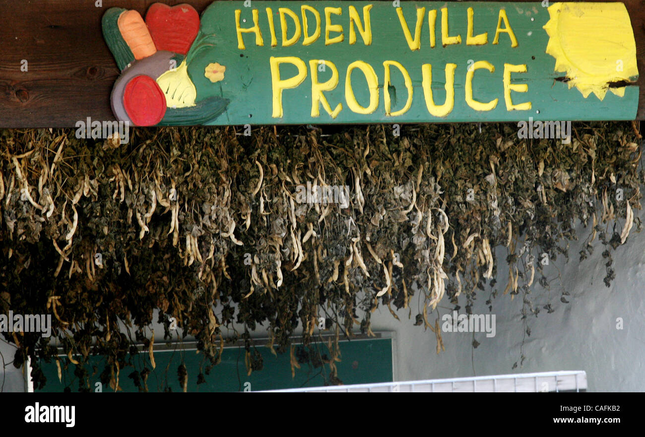 Feb 27, 2008 - Los Altos Hills, California, USA - The Hidden Villa ...