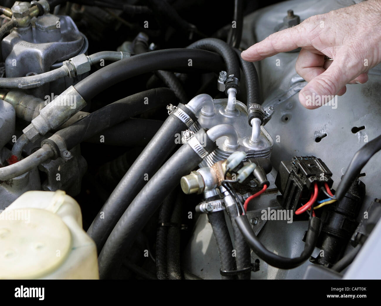 022008 tc biz lamb (5of7) Staff Photo by Paul J. Milette/The Palm Beach ...