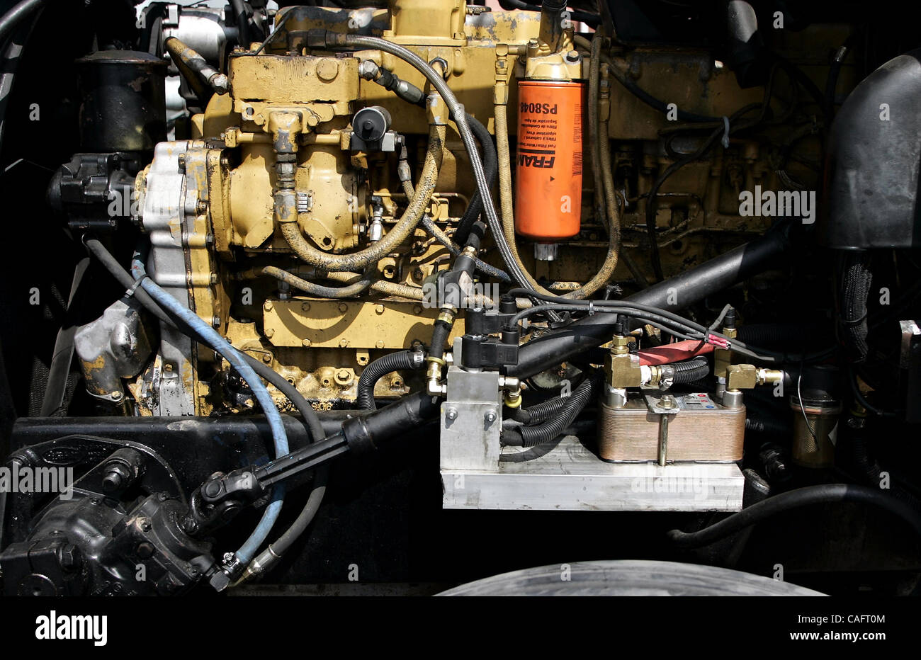 022008 tc biz lamb (6of7) Staff Photo by Paul J. Milette/The Palm Beach ...