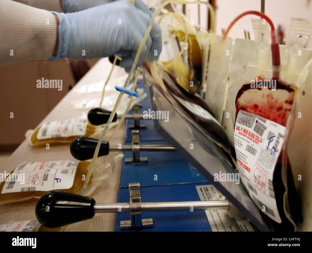 -5- CAPTION: (CLEARWATER 02/20/08) Technicians place a pint of donated ...