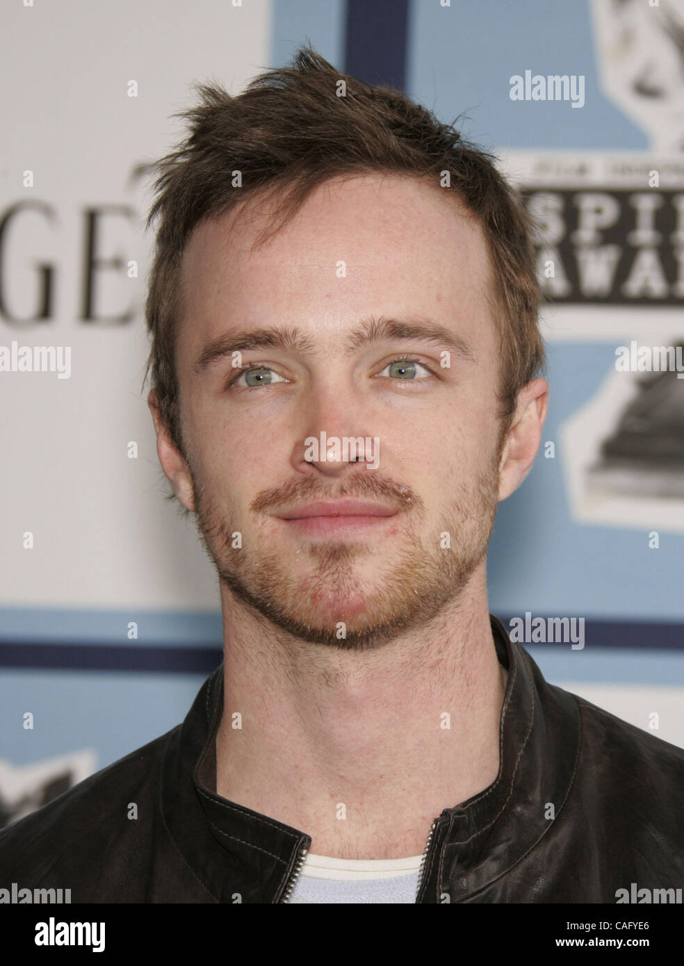 Aaron Paul Actor