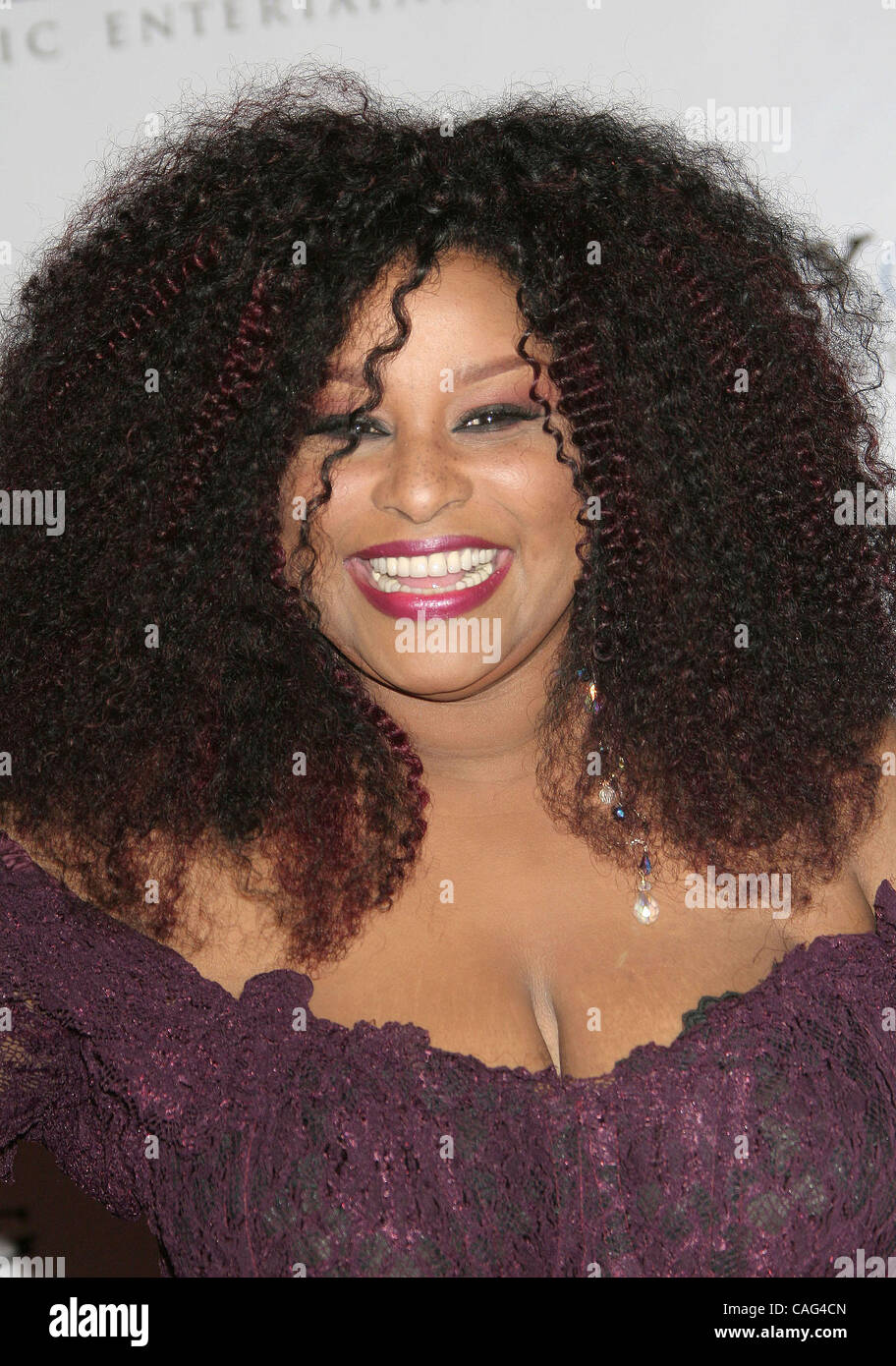 Feb 10, 2008; Hollywood, CA, USA; Singer CHAKA KHAN at the Sony BMG ...