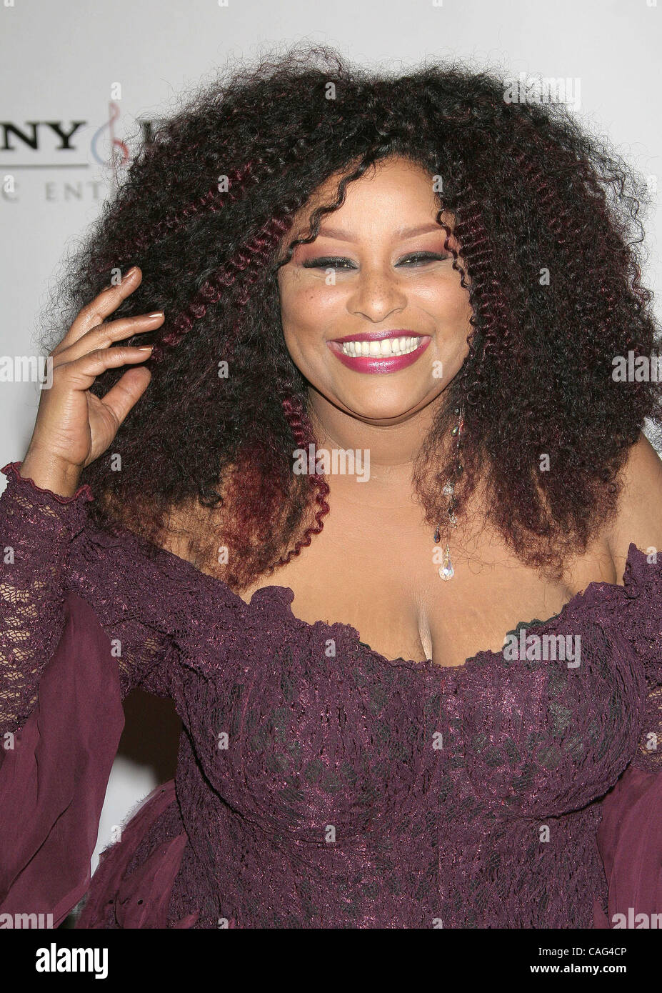 Feb 10, 2008; Hollywood, CA, USA; Singer CHAKA KHAN at the Sony BMG ...