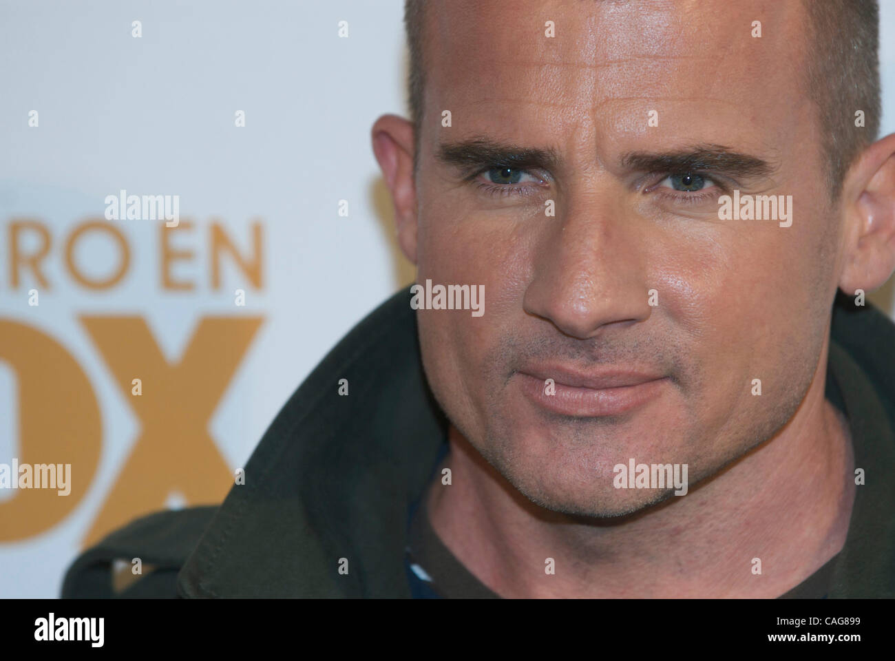 Grace Purcell's Instagram, Twitter & Facebook on IDCrawl