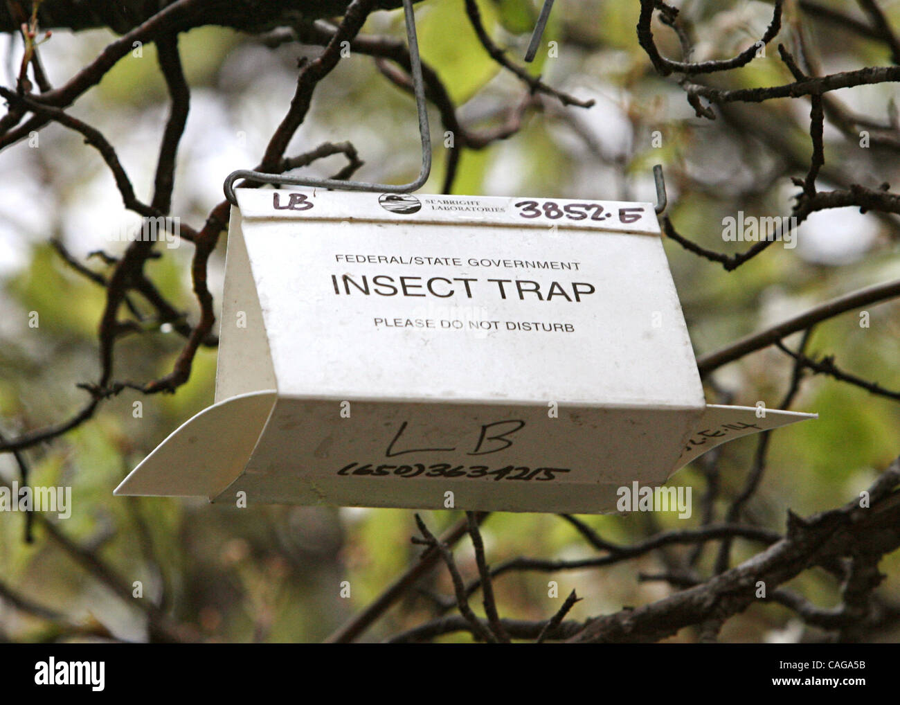 Moth traps hi-res stock photography and images - Alamy