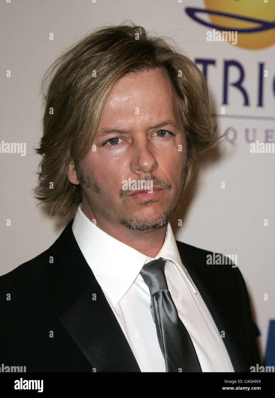 Feb 09, 2008 - Beverly Hills, California, USA - Actor DAVID SPADE at ...