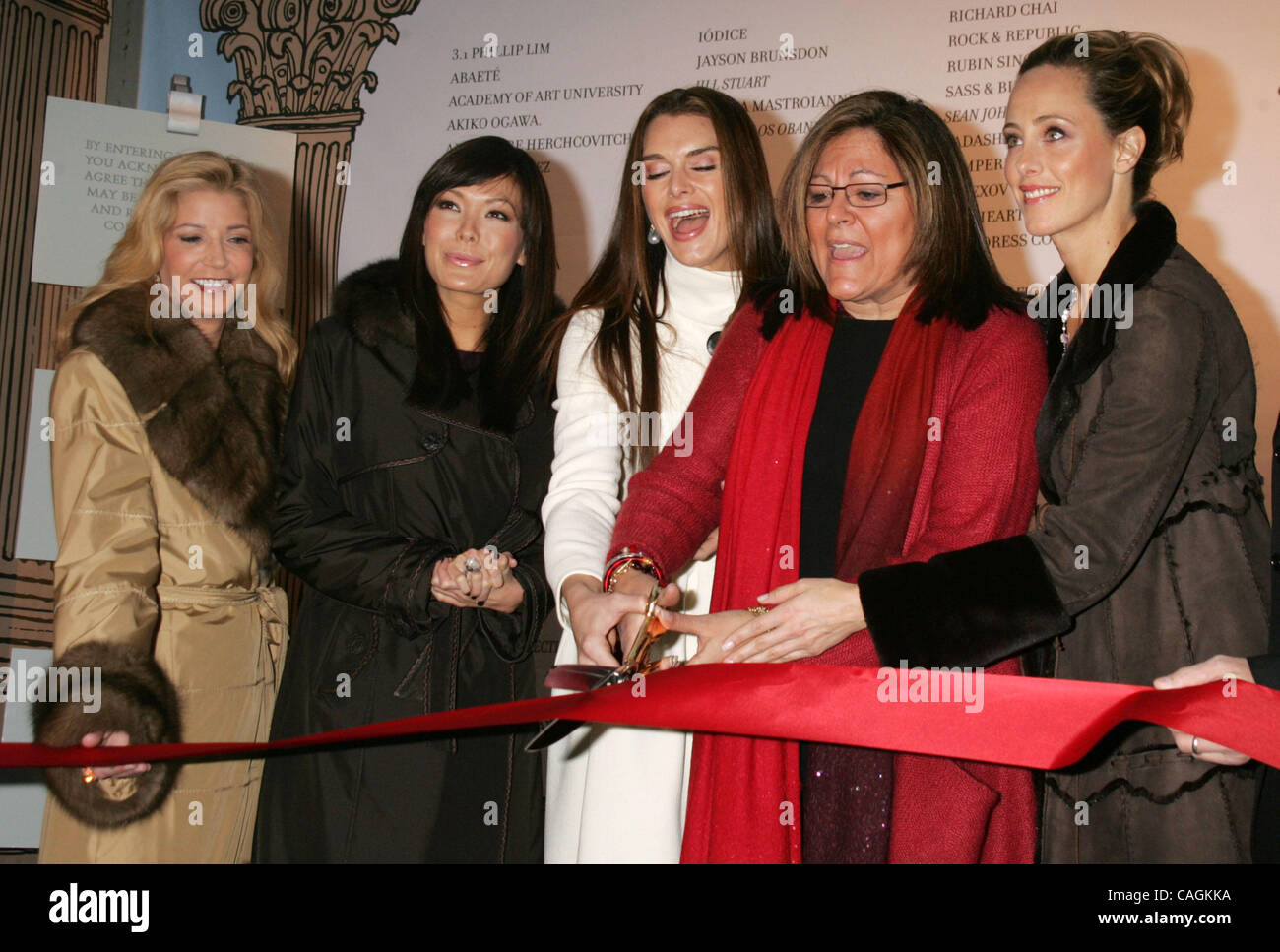 Feb 01, 2008 - New York, NY, USA - CANDACE BUSHNELL, LINDSAY PRICE ...