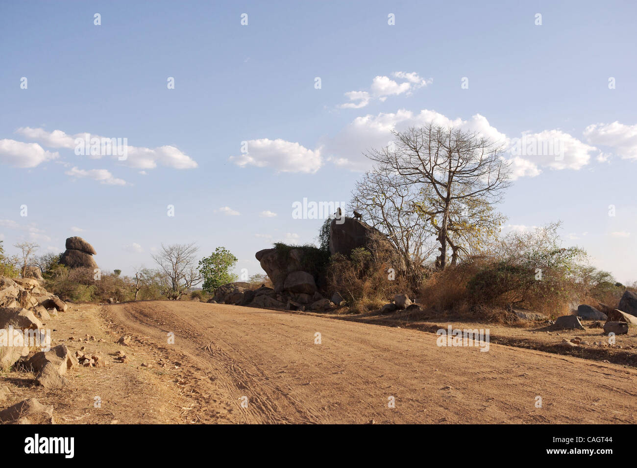 Baboons make this rock home near the crossing of the Nile River in ...