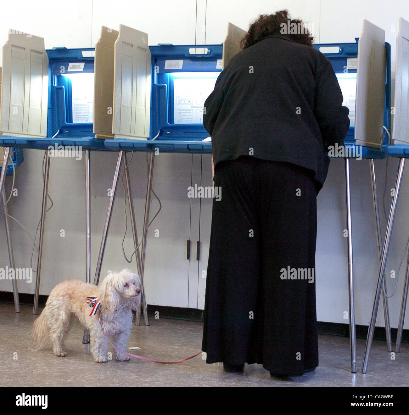 Rasky hi-res stock photography and images - Alamy