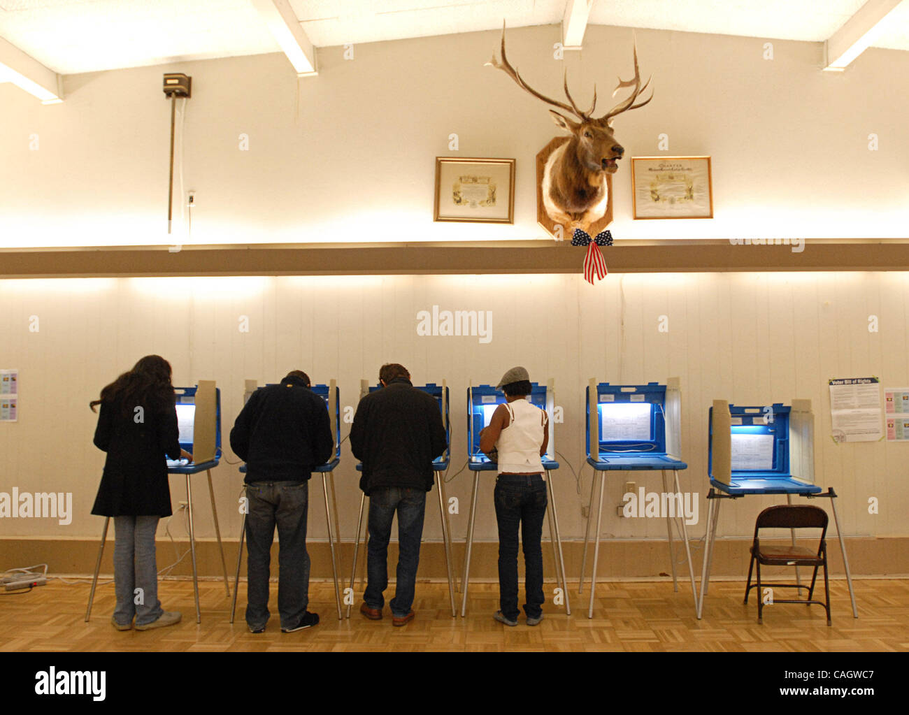 An elk keeps an eye on the voting process during presidential primary ...