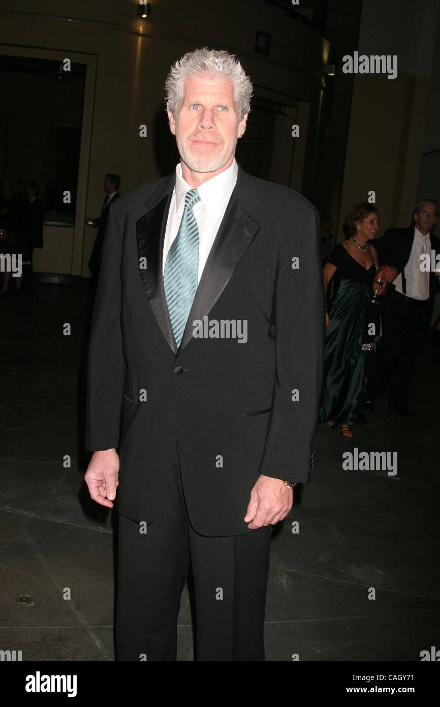Jan. 26, 2008 - Hollywood, California, U.S. - I12933CHW.AMERICAN ...