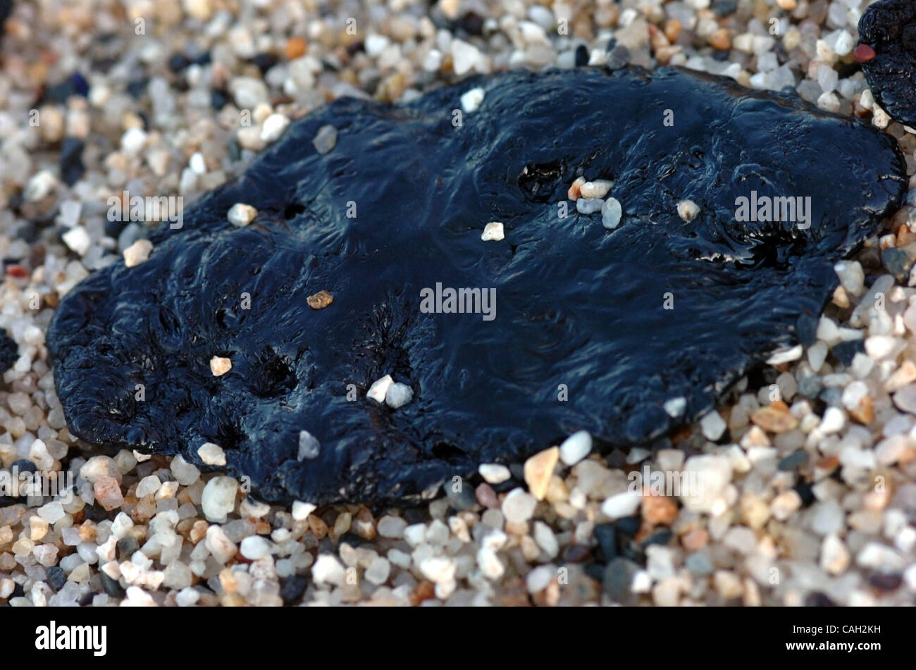Tar balls were discovered early Monday, January 28, 2008, at the ...