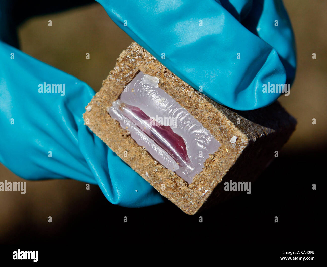 Spread of rabies hi-res stock photography and images - Alamy