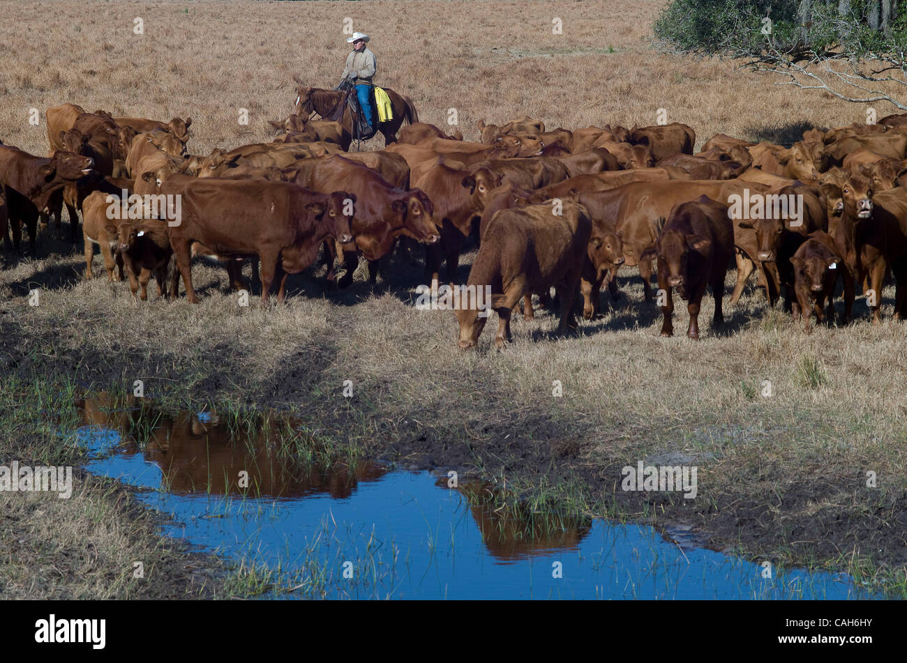 Adams ranch hi-res stock photography and images - Alamy