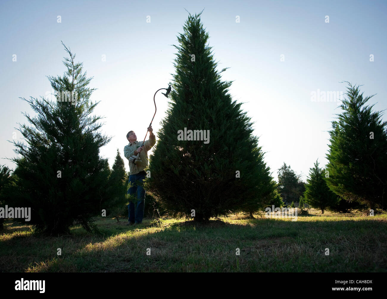 Beneke hi-res stock photography and images - Alamy