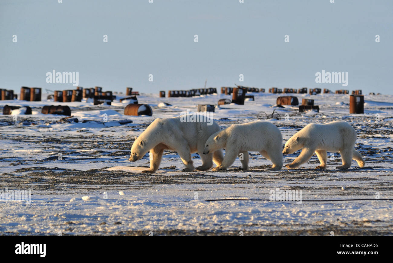 Russian polar station chelyuskin cape hi-res stock photography and ...