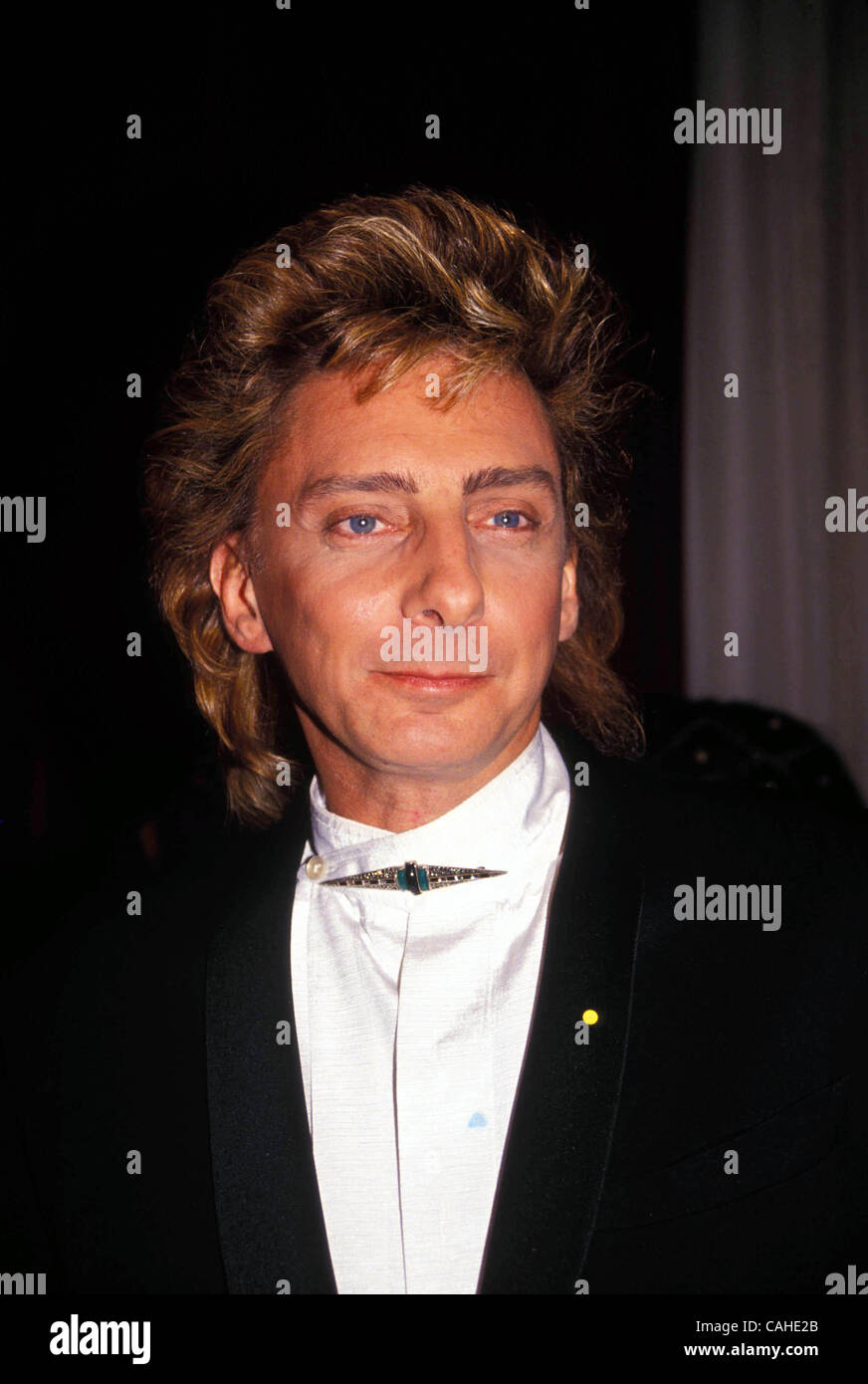 Jan. 16, 2008 - New York, New York, U.S. - BARRY MANILOW 1991. - 16102 ...