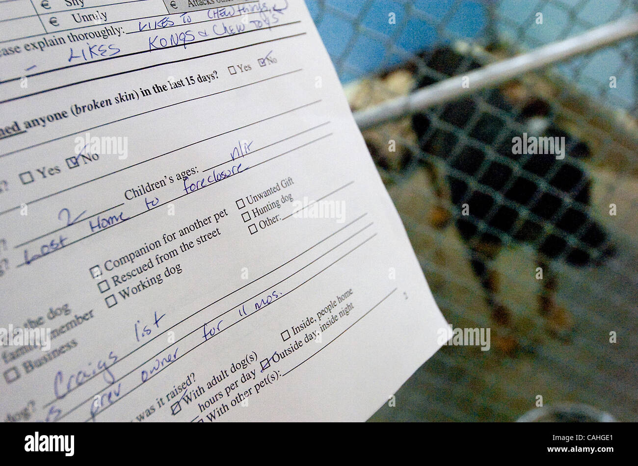 DETAIL-- Paperwork filled out by the dog's owner shows the reason for ...