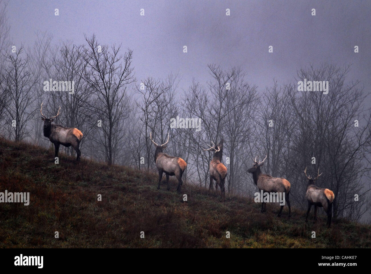 Kentucky mines hi-res stock photography and images - Alamy