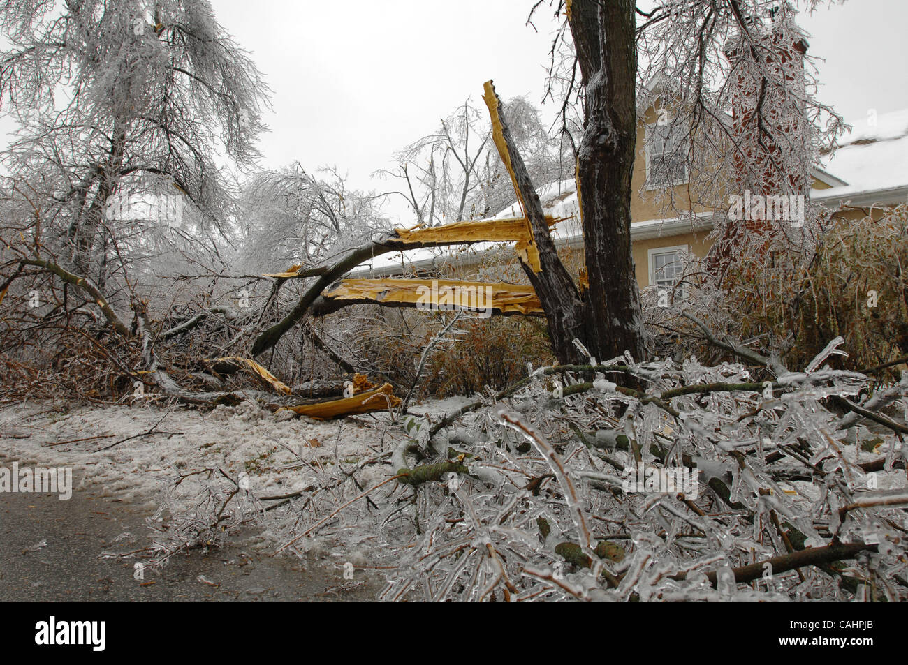 Dec 12, 2007 - Maryville, Missouri, USA - Ice covered tree branches and ...