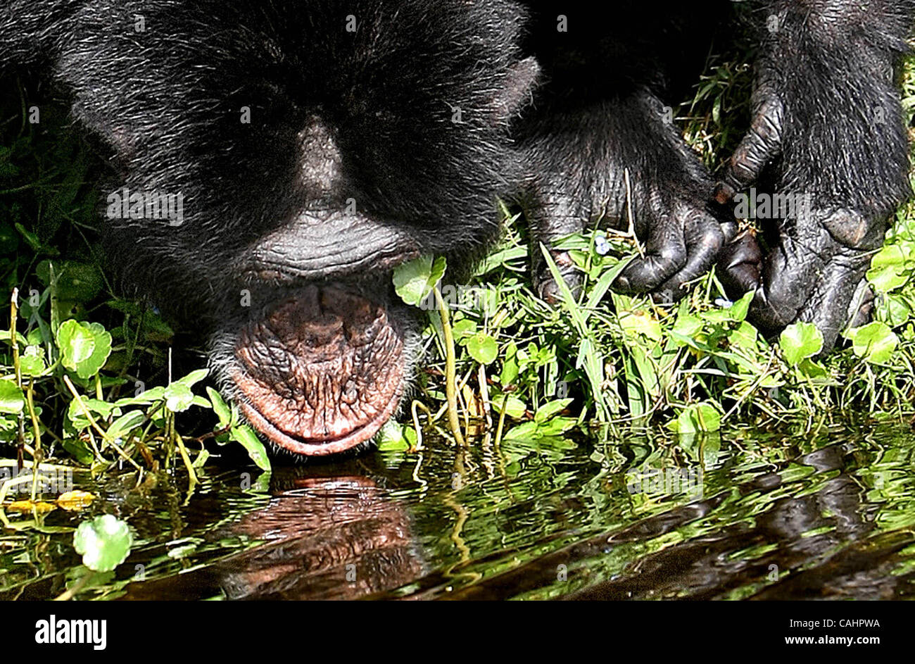 Higgy hi-res stock photography and images - Alamy