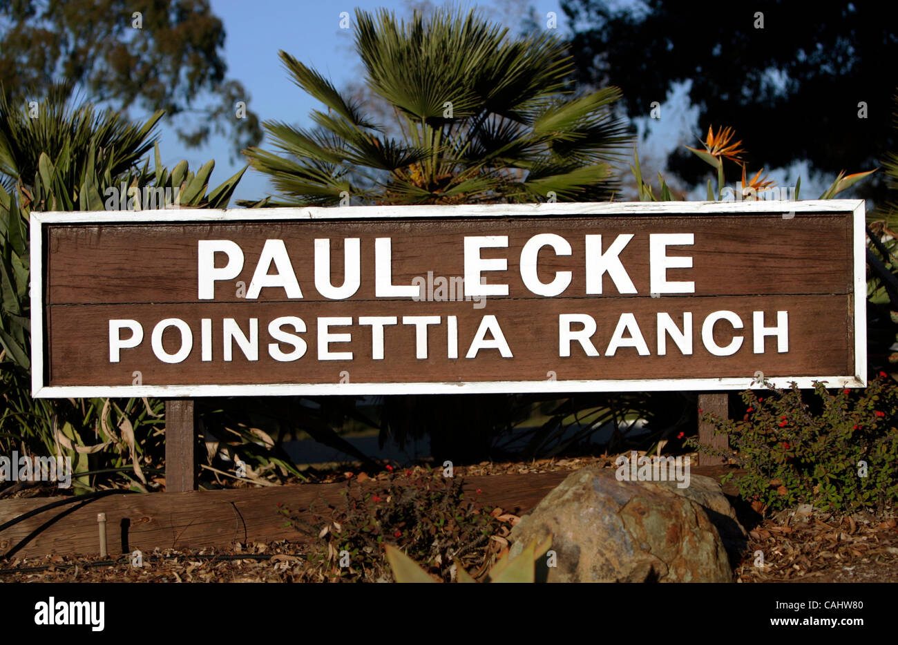 December 17, 2007, Encinitas, California, USA. Paul Ecke III is the ...