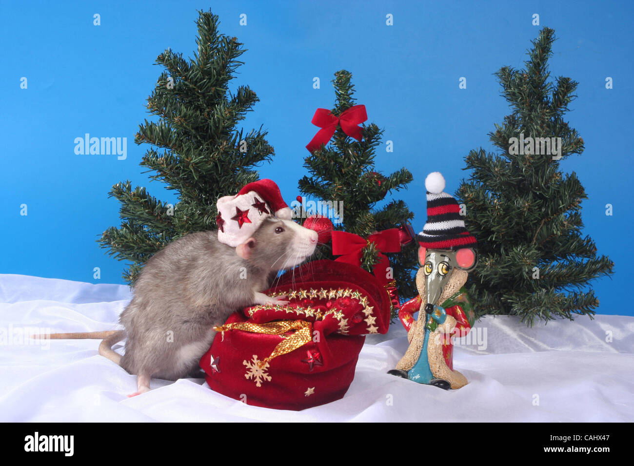 According to the Chinese Zodiac, the Year of 2008 is a Year of the Rat ...