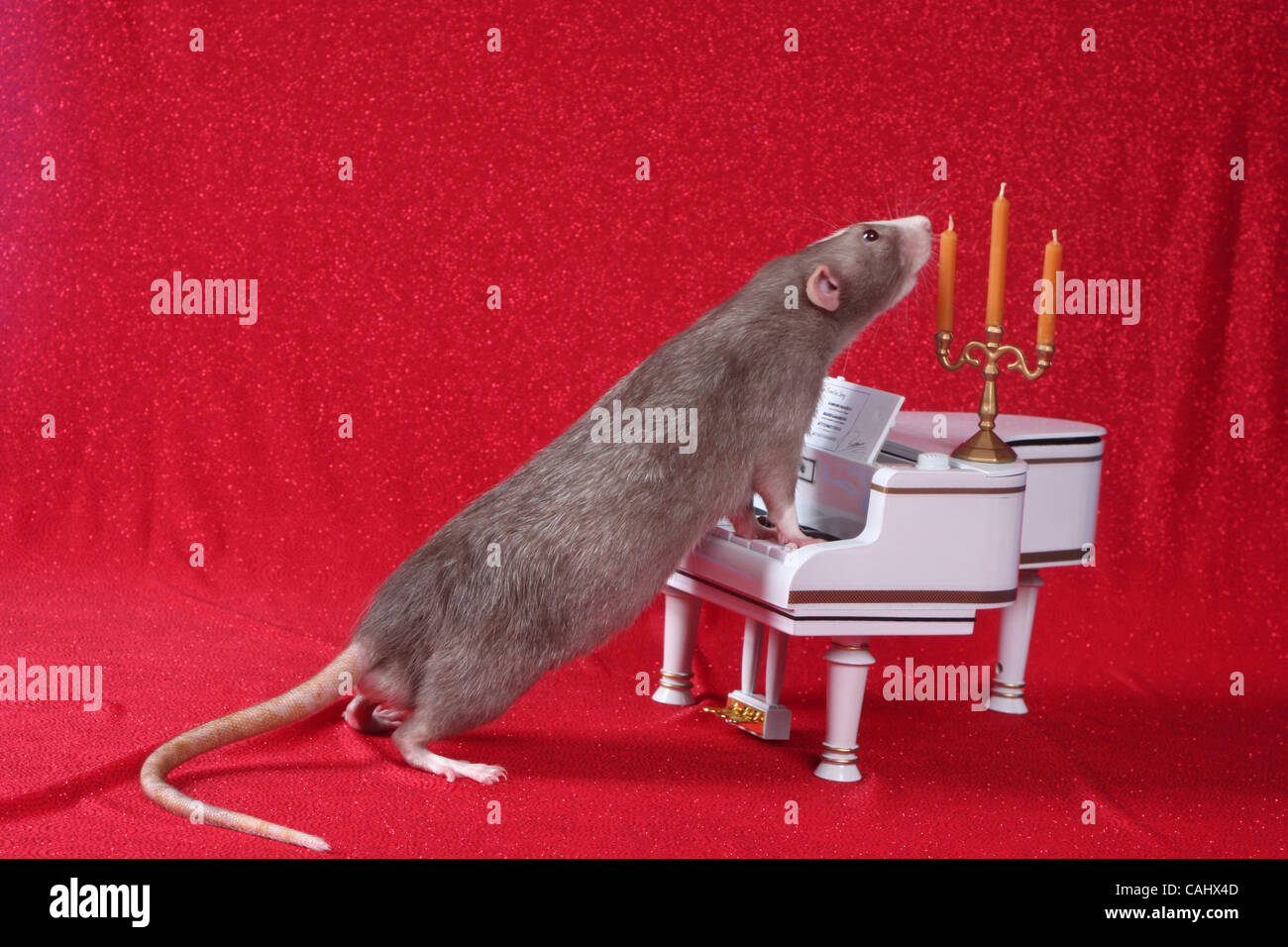 2008 according hi-res stock photography and images - Alamy