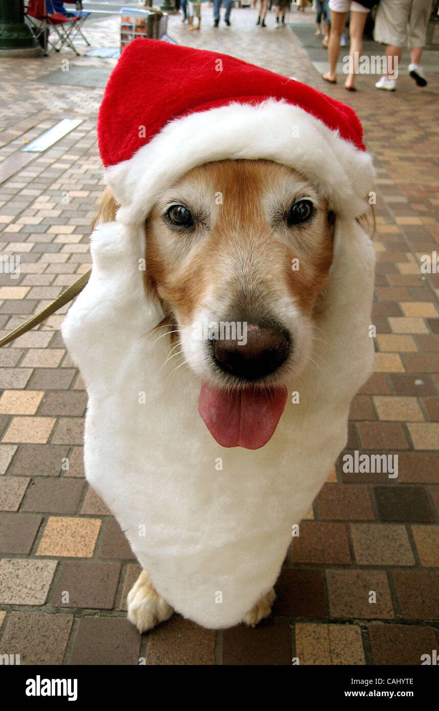 Santa cause hi-res stock photography and images - Alamy