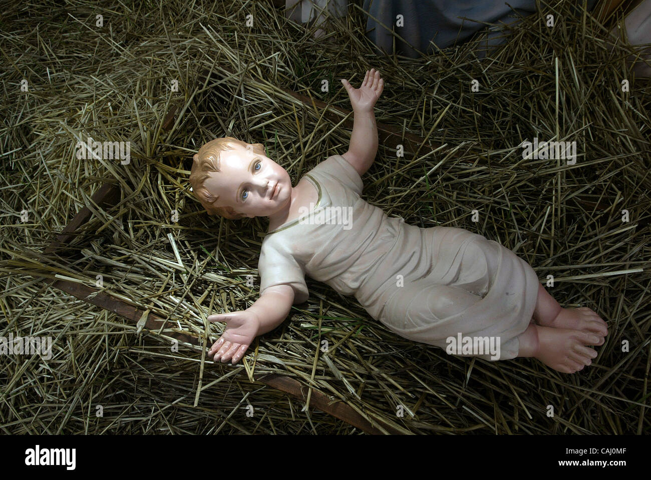 Palm thief hi-res stock photography and images - Alamy