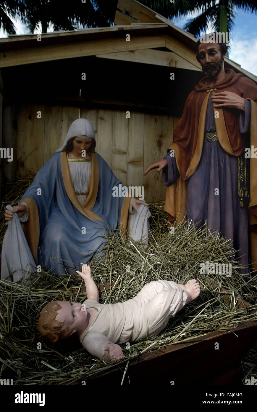 Palm Thief High Resolution Stock Photography and Images - Alamy