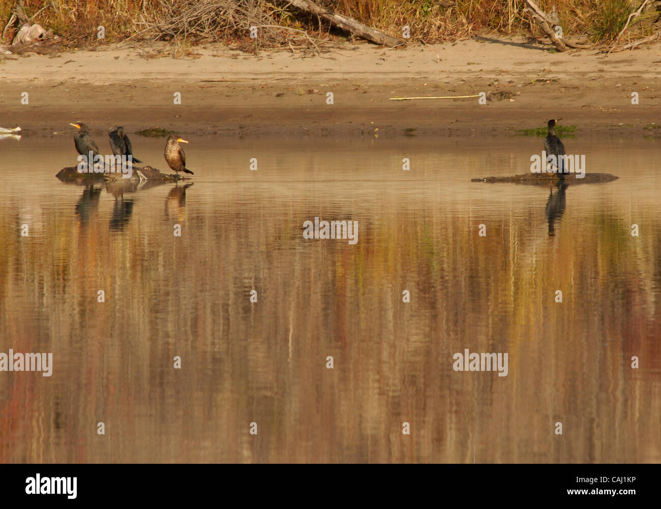 Robert sewell hi-res stock photography and images - Alamy