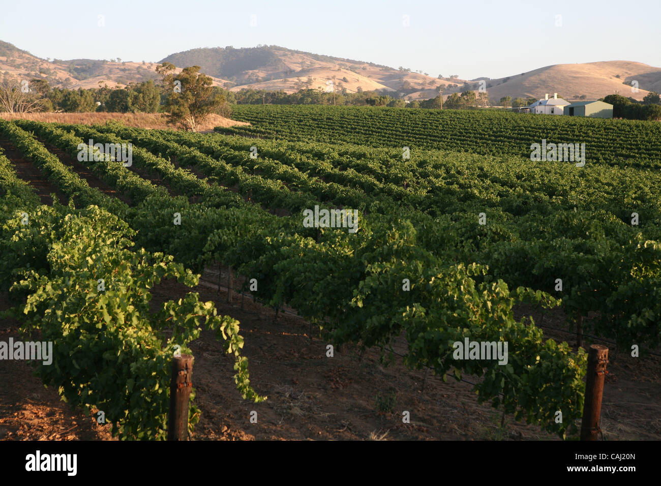 Adelaide australia barossa valley hi-res stock photography and images ...