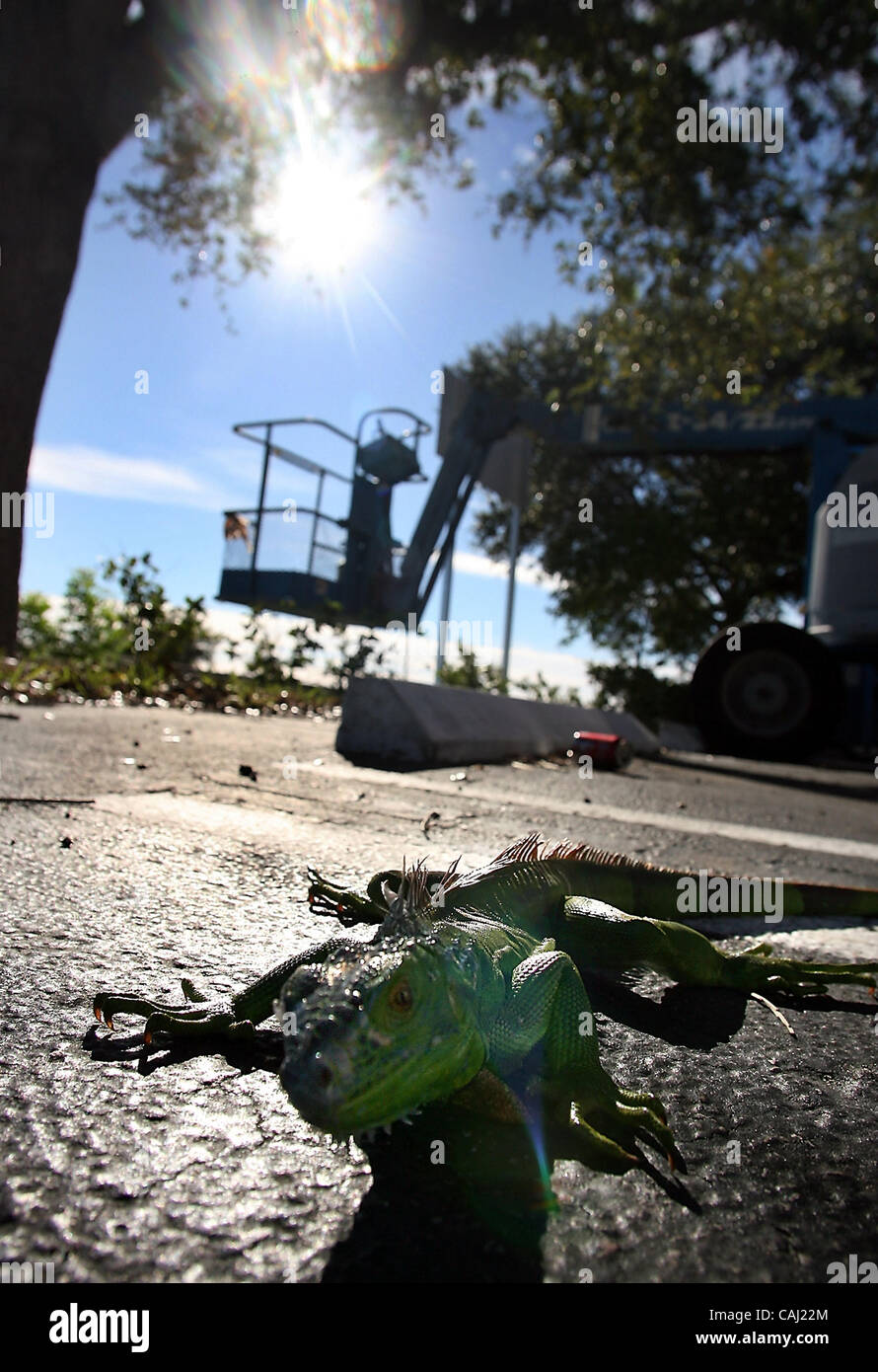 010208 hi-res stock photography and images - Alamy