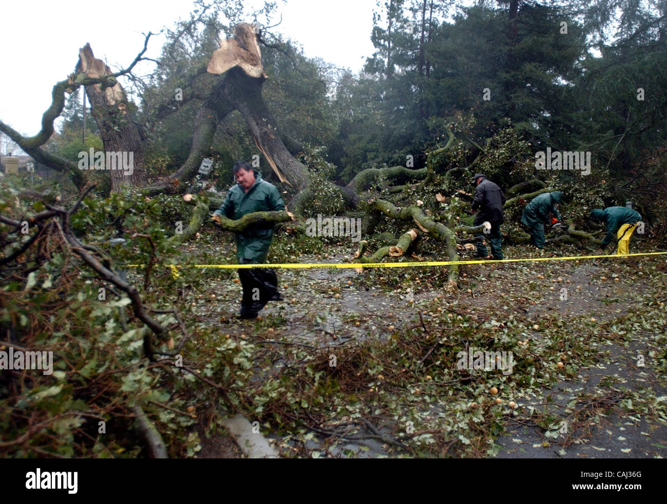 Workers from Alexander's Tree Care of Livermore remove what remains of ...
