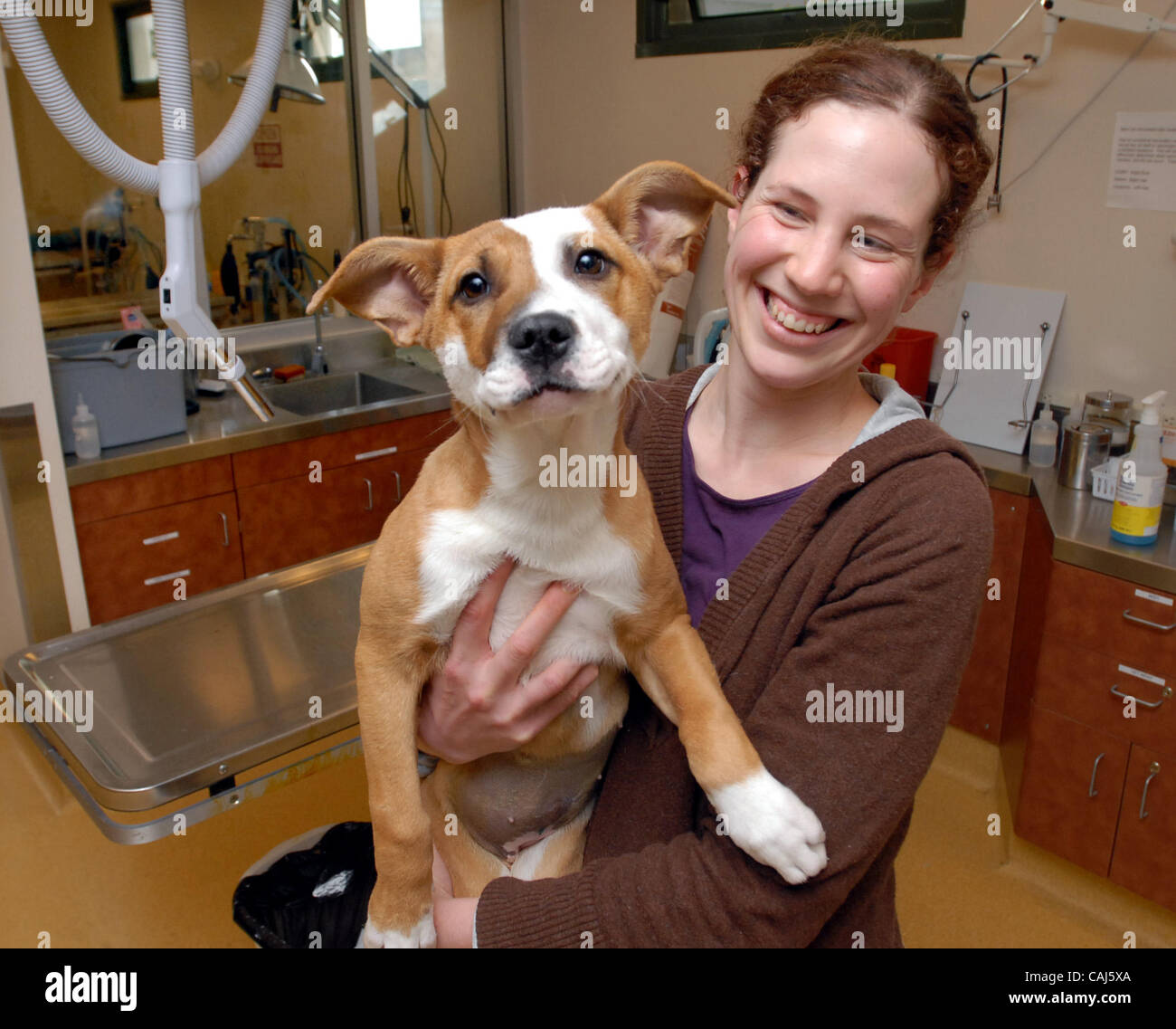 Spayed female dog hi-res stock photography and images - Alamy