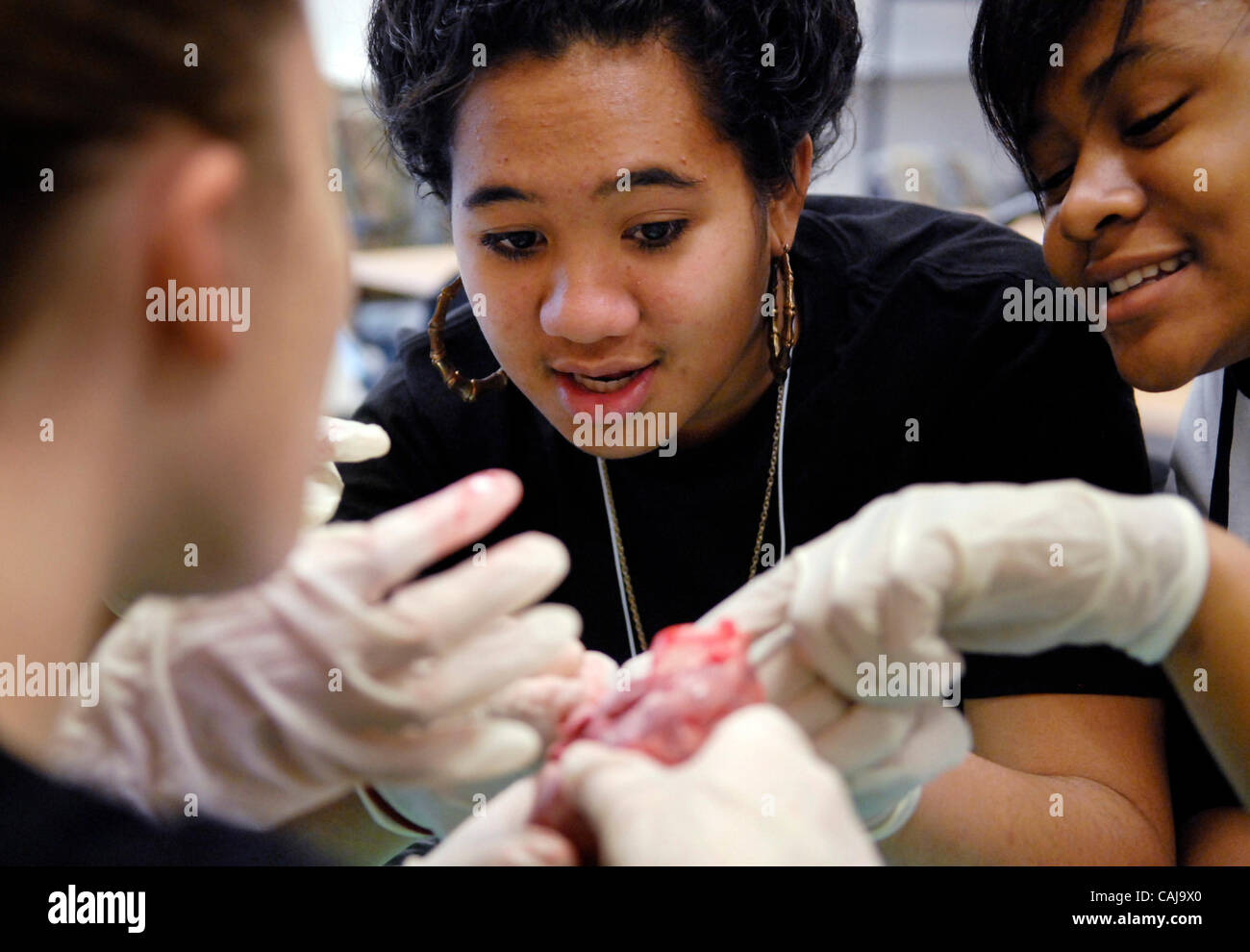 Health Professions High School students Ruby Hingano (cq, center), 15 ...