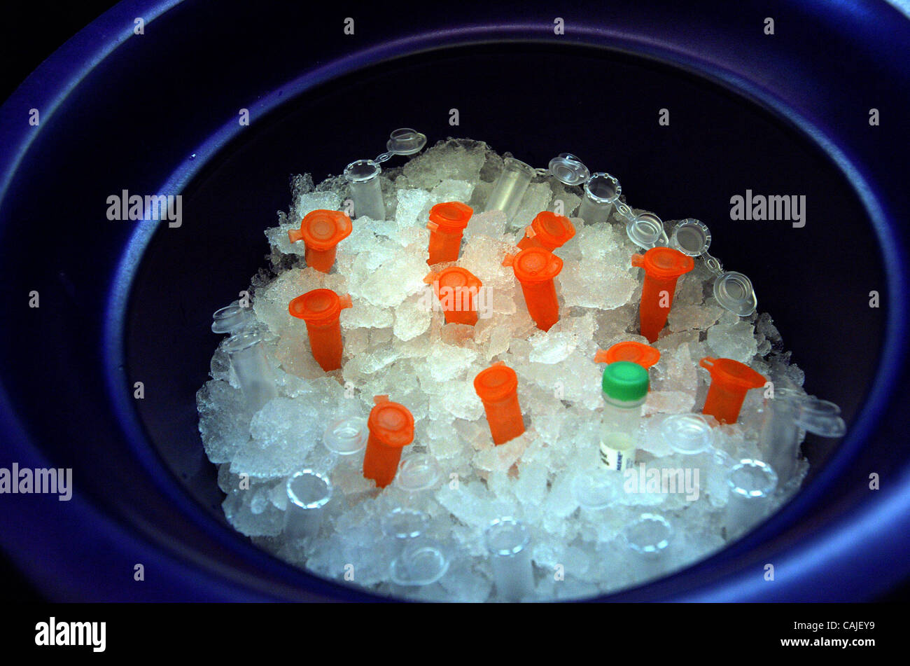 Ice cells hi-res stock photography and images - Alamy