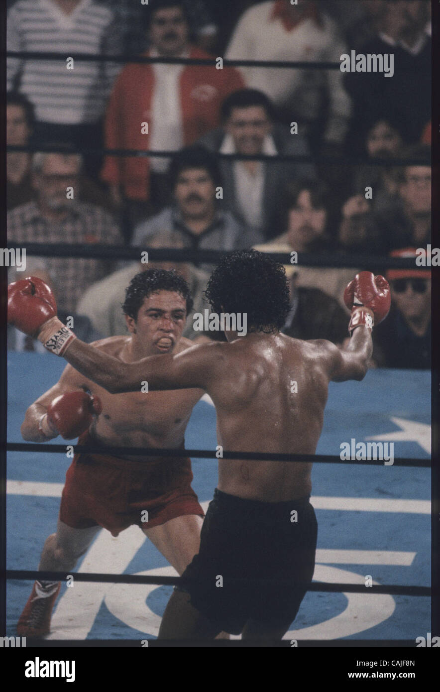 December 11, 1982, at Memorial Auditorium, was the setting for Bobby ...