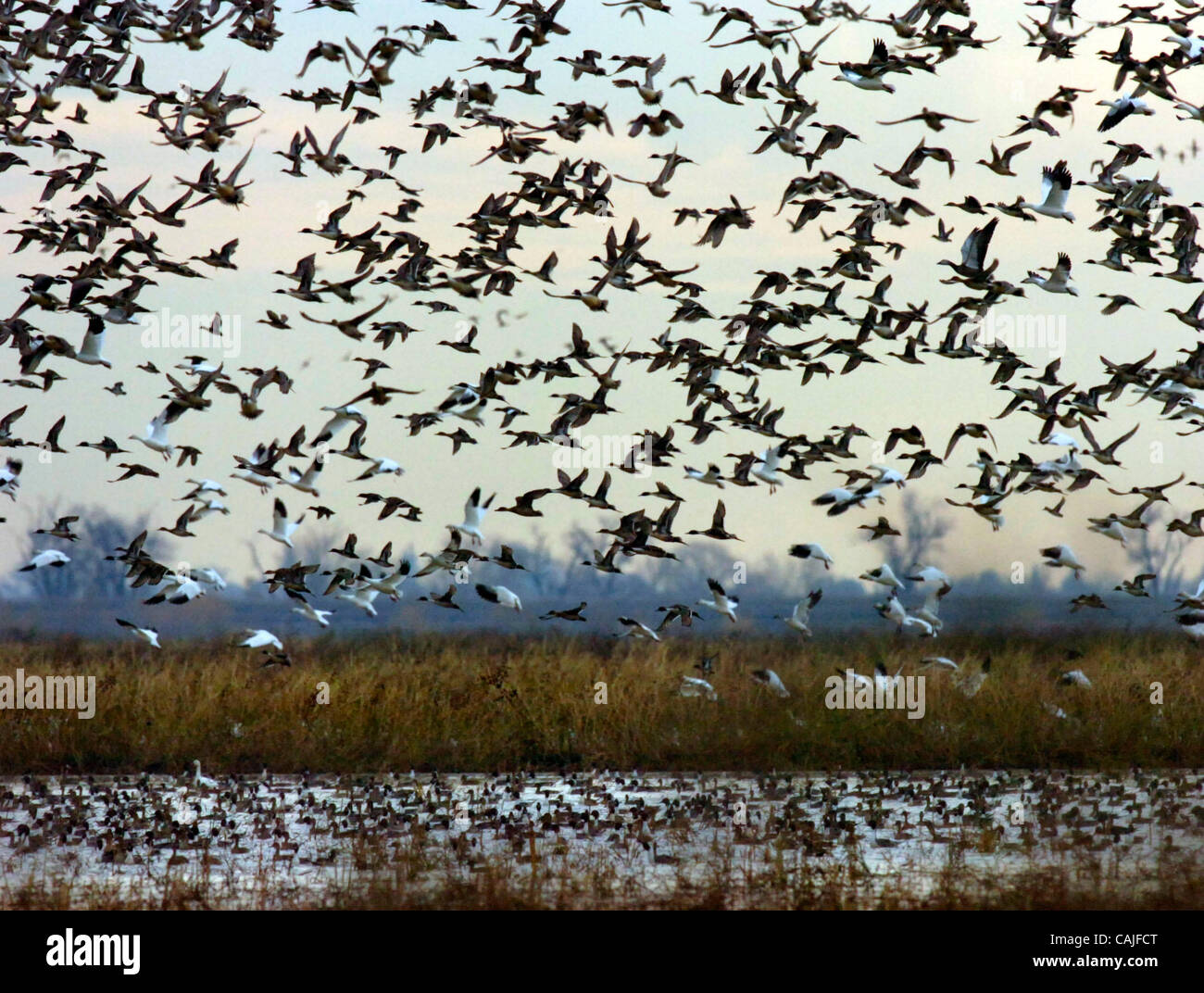 Yolo Wildlife Area Map Duck Hunting At The Yolo Bypass » Where Do I